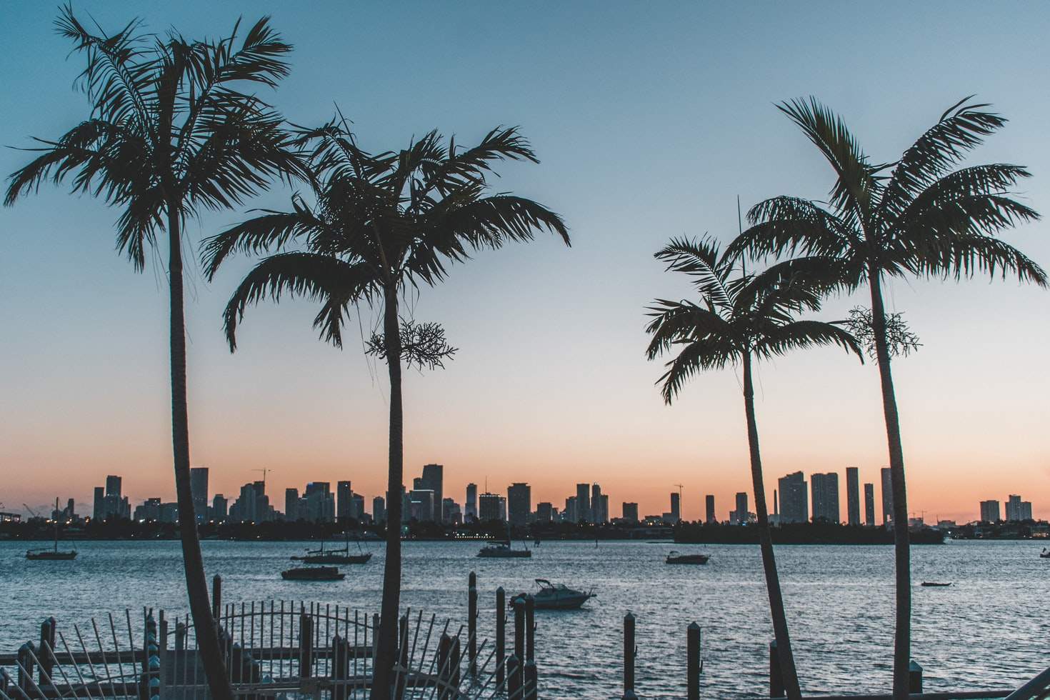 The Best Suburbs of Miami - Bellhop
