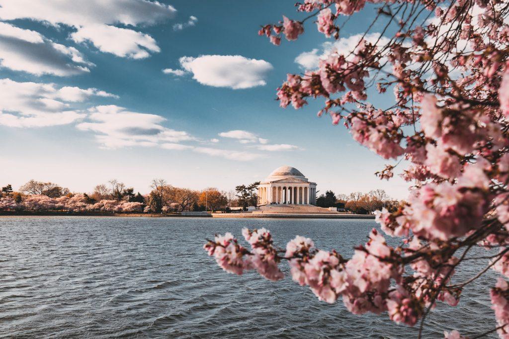 The Best Suburbs in Washington, D.C. (A 2023 Guide) - Bellhop