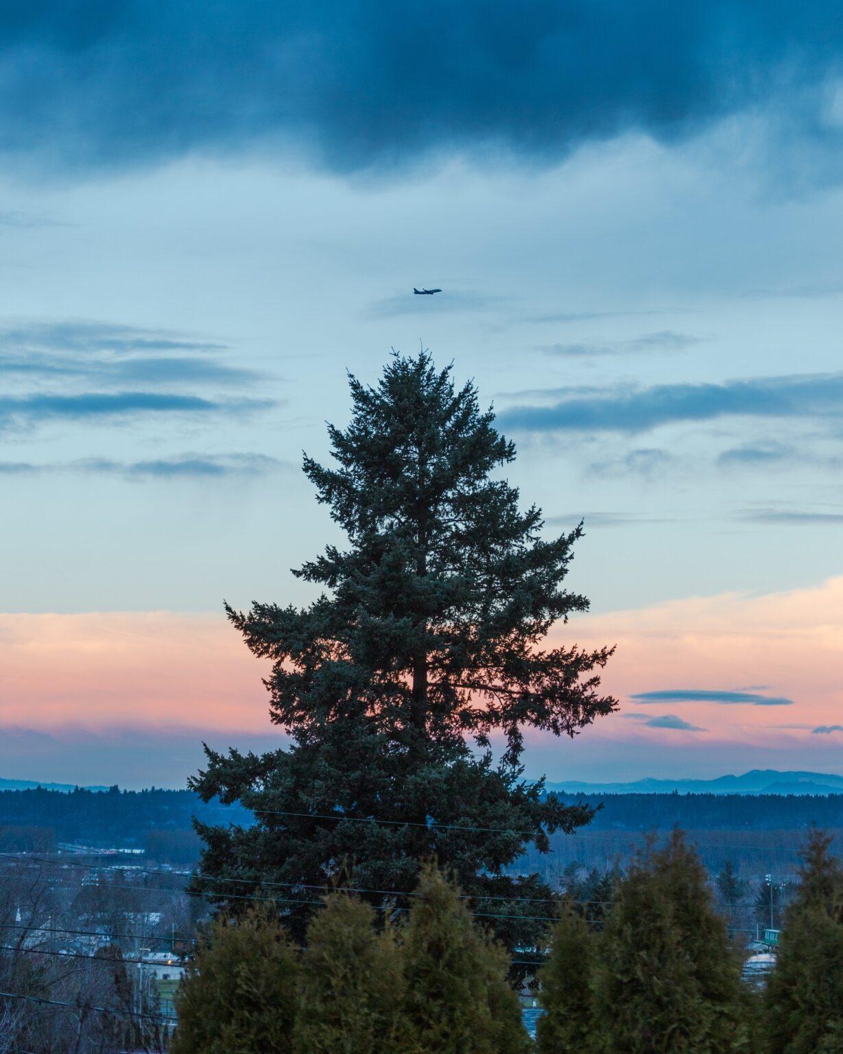 The Best Places to Live in Oregon (A 2023 Guide) - Bellhop